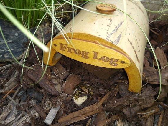 Frog Log Bamboo House for Frogs Toads and Newts. Hand Crafted | Etsy