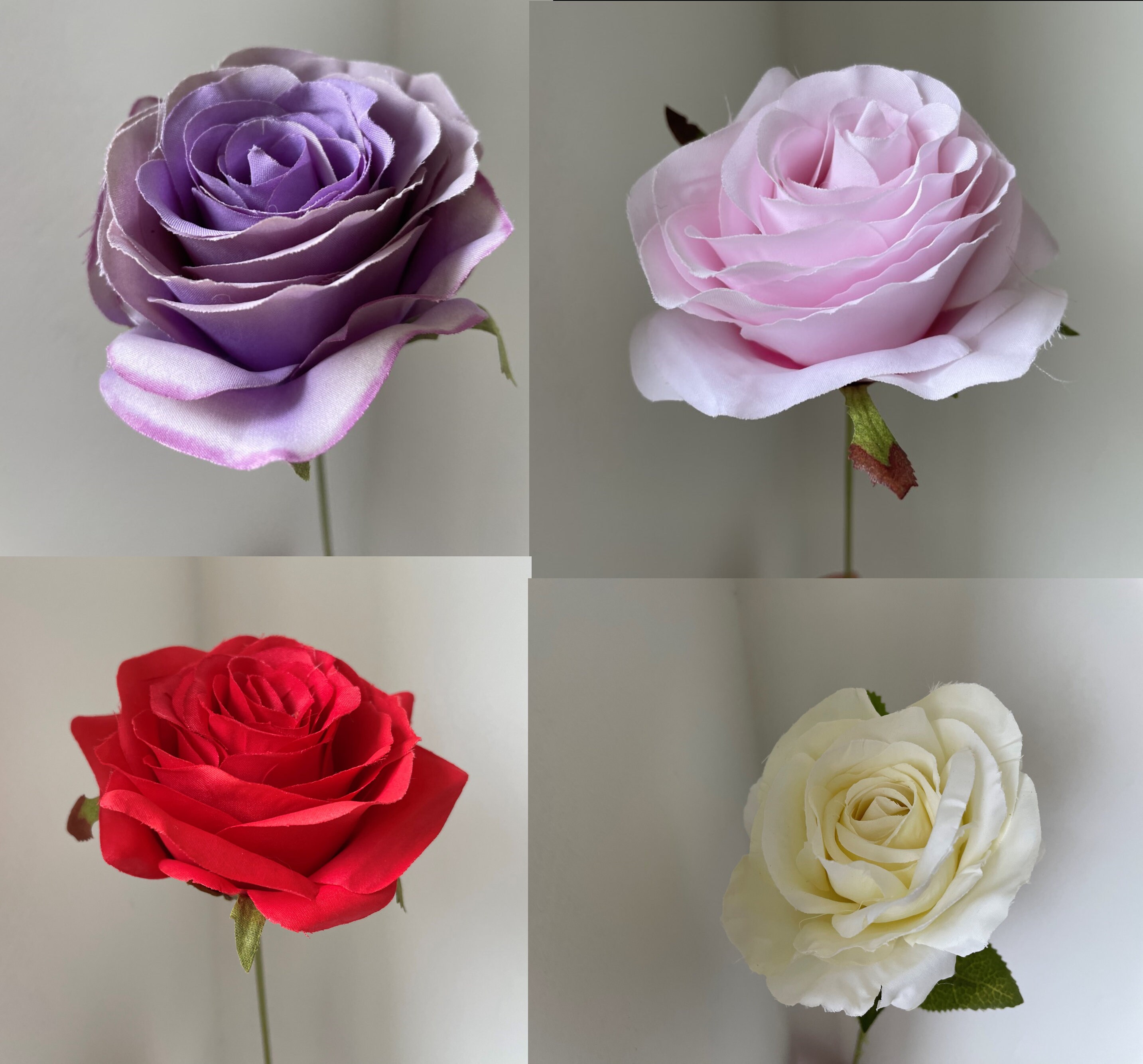 Single Lavender Roses