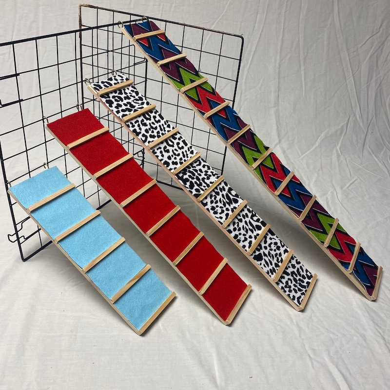 Guinea Pig Ramp - Etsy