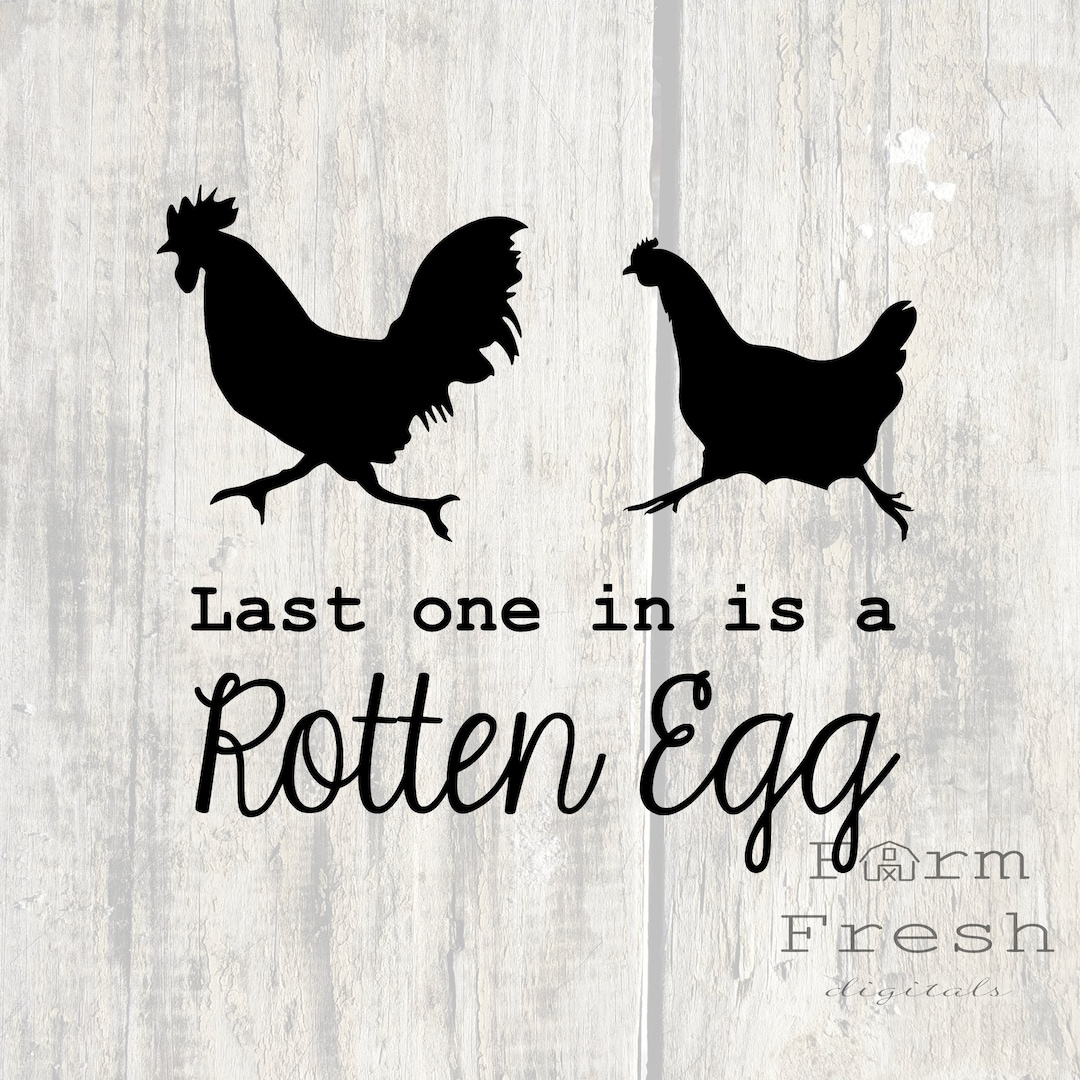 Chicken Coop Svg, Last One in is a Rotten Egg Quote Design With Rooster ...