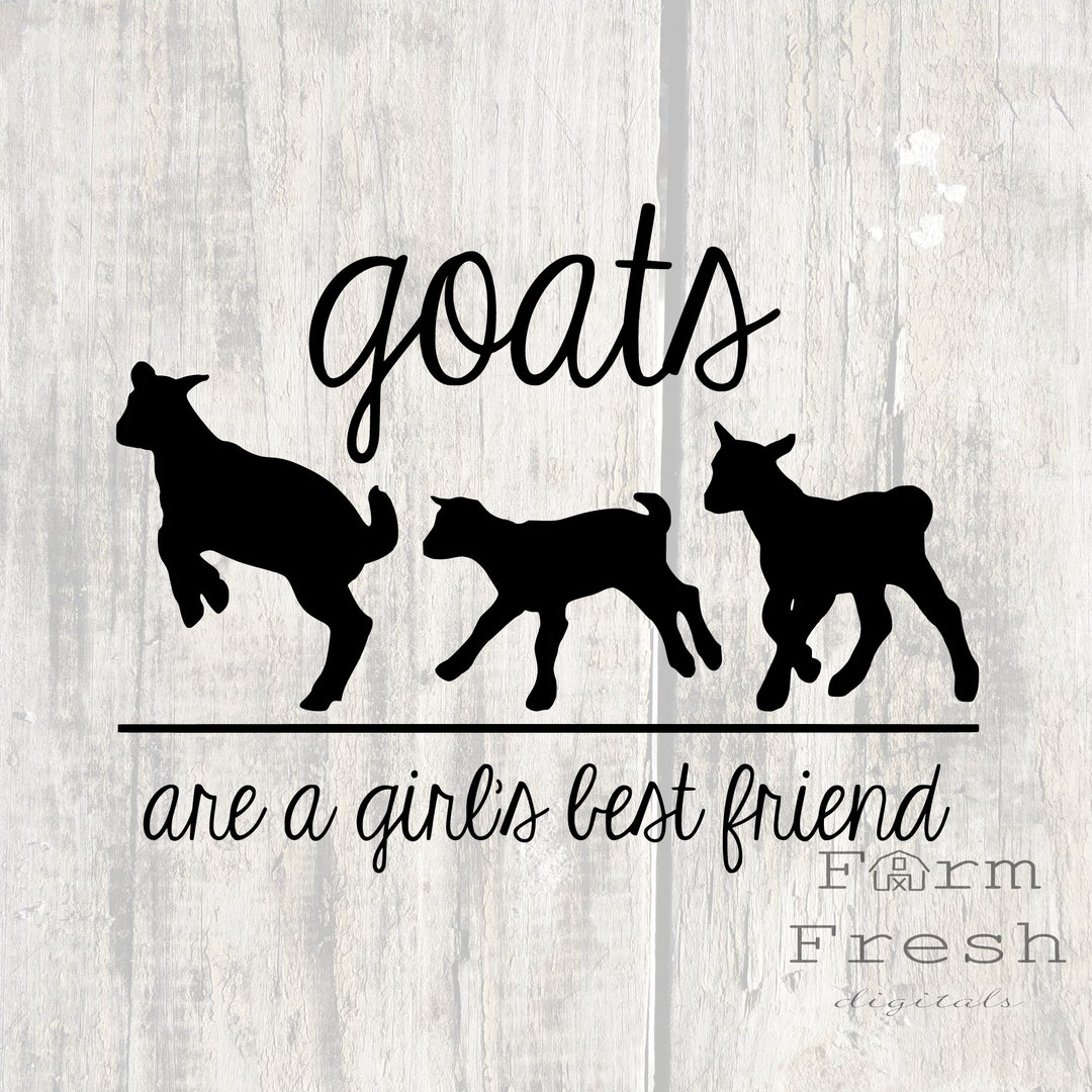 Goats Are a Girl's Best Friend Quote Svg With Goats Playing Silhouette ...
