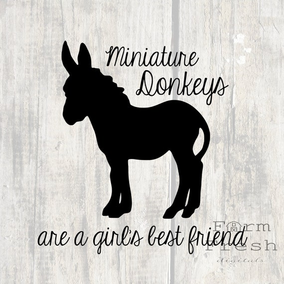 Best Donkey Quotes