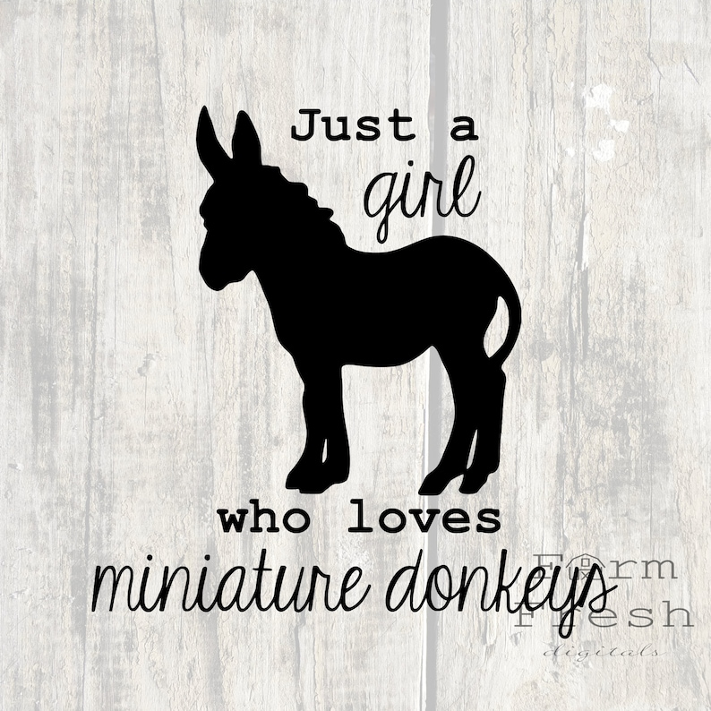 Just a Girl Who Loves Miniature Donkeys Svg With Donkey Silhouette Clip ...