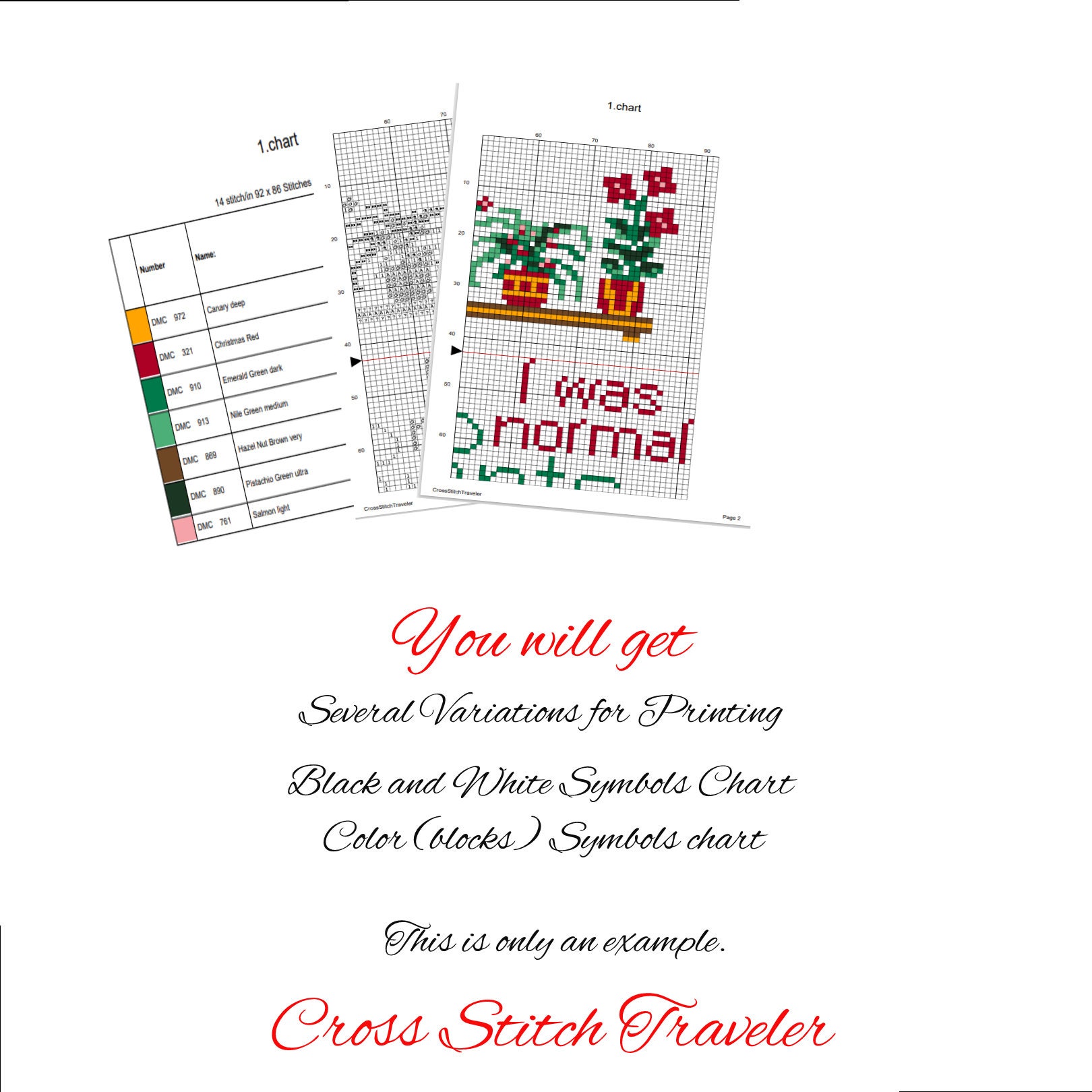 Funny Adult Cross Stitch Pattern.being a Functional Adult - Etsy