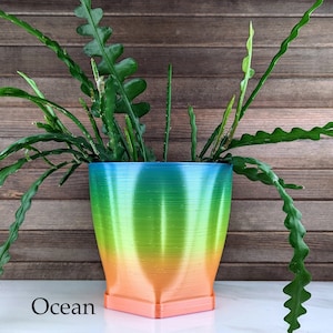 Medium 6 Wide Curvy Planter With Drainage in Multiple Colors Modern 3D ...