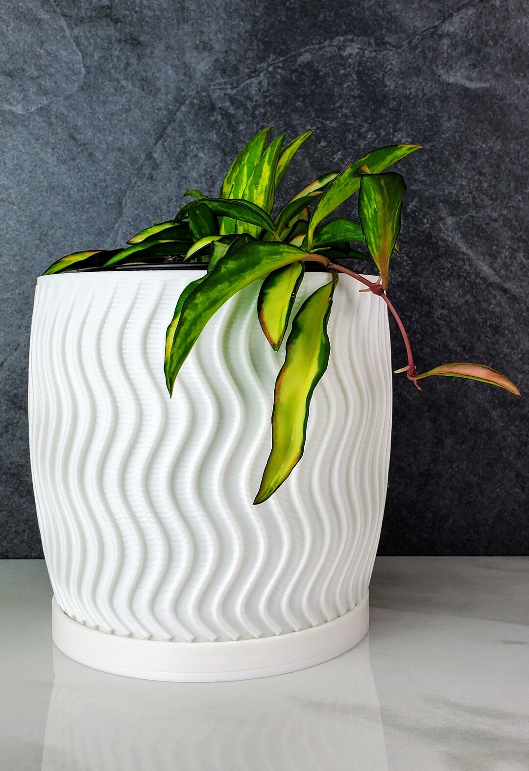 White New Wavy 5" Planter With Drainage | Modern 3D Printed Indoor Pot ...