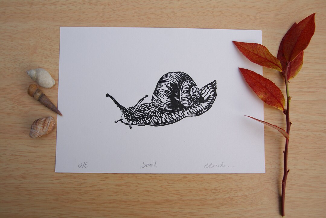 Snail Linocut Print - Etsy