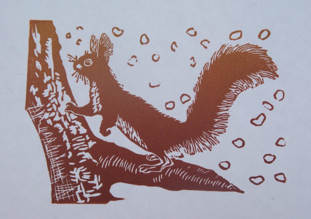 Red Squirrel Linocut Print - Etsy