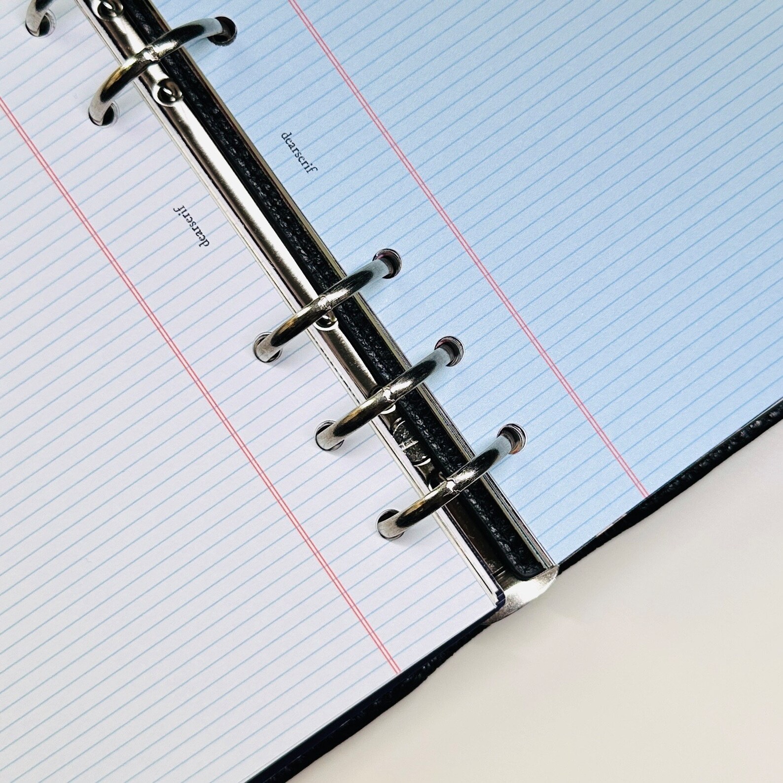 DS Personal Lined Notebook Version 1 Planner Insert, Colored Lines ...