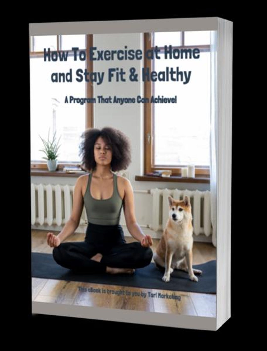 How to Exercise at Home and Stay Fit & Healthy Ebook - A Simple Guide ...