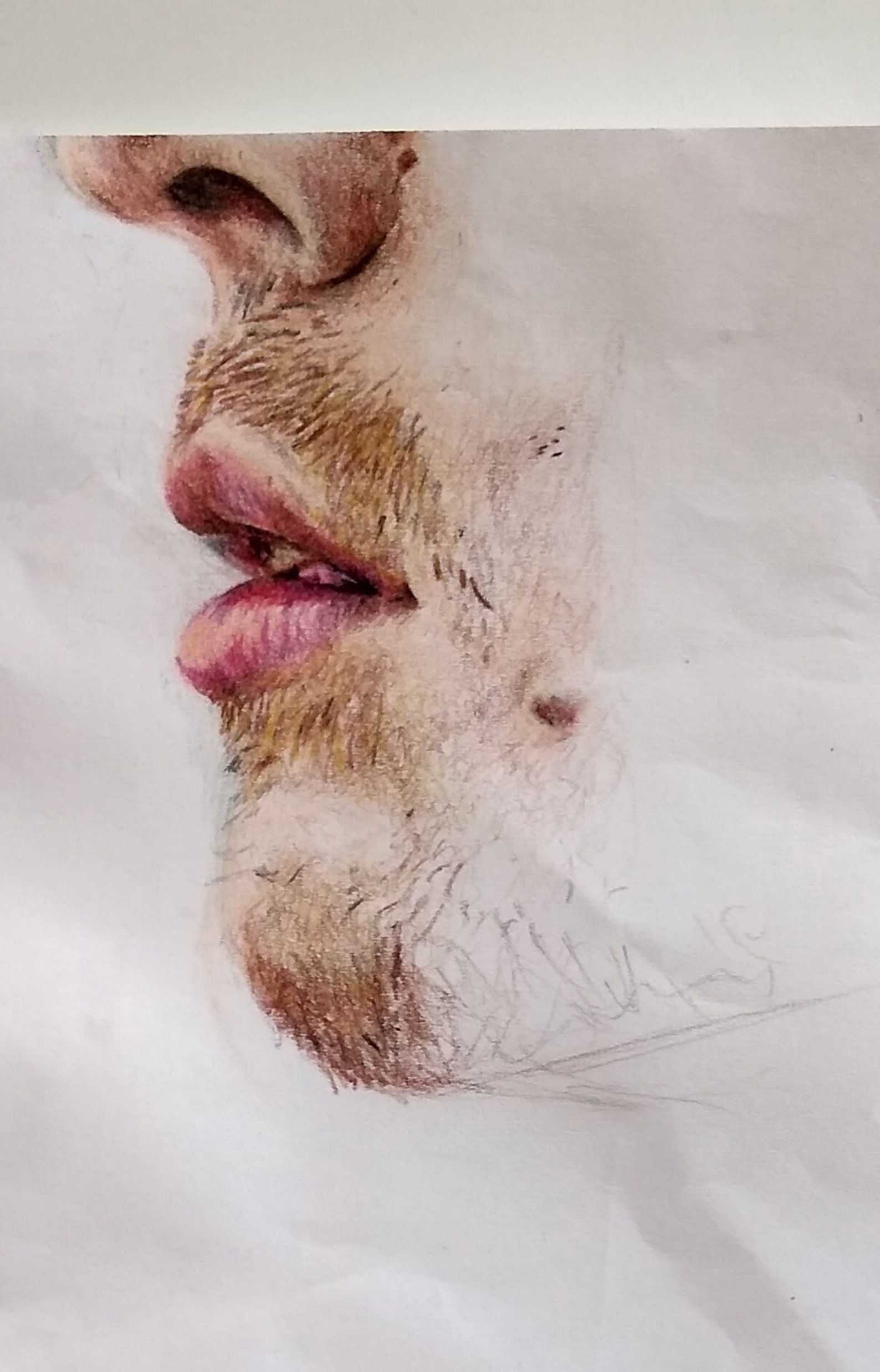 Custom Face Close up Drawing Pencil or Digital Illustration - Etsy