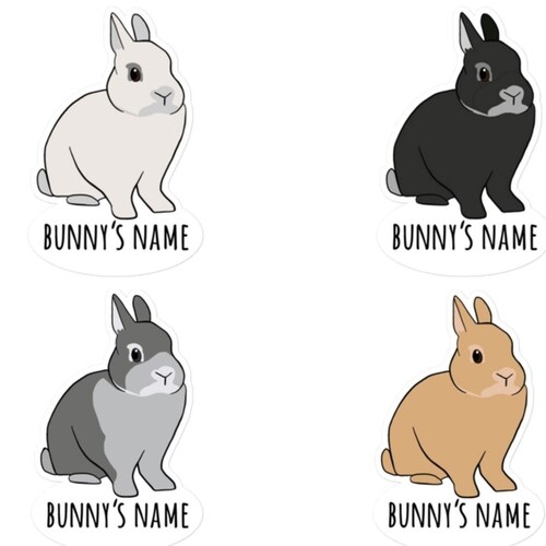 Black Netherland Dwarf Bunny Sticker Printed Chibi Rabbit - Etsy