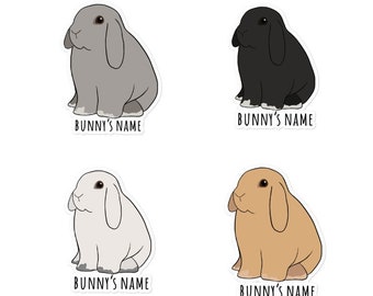 Black Mini Lop Rabbits
