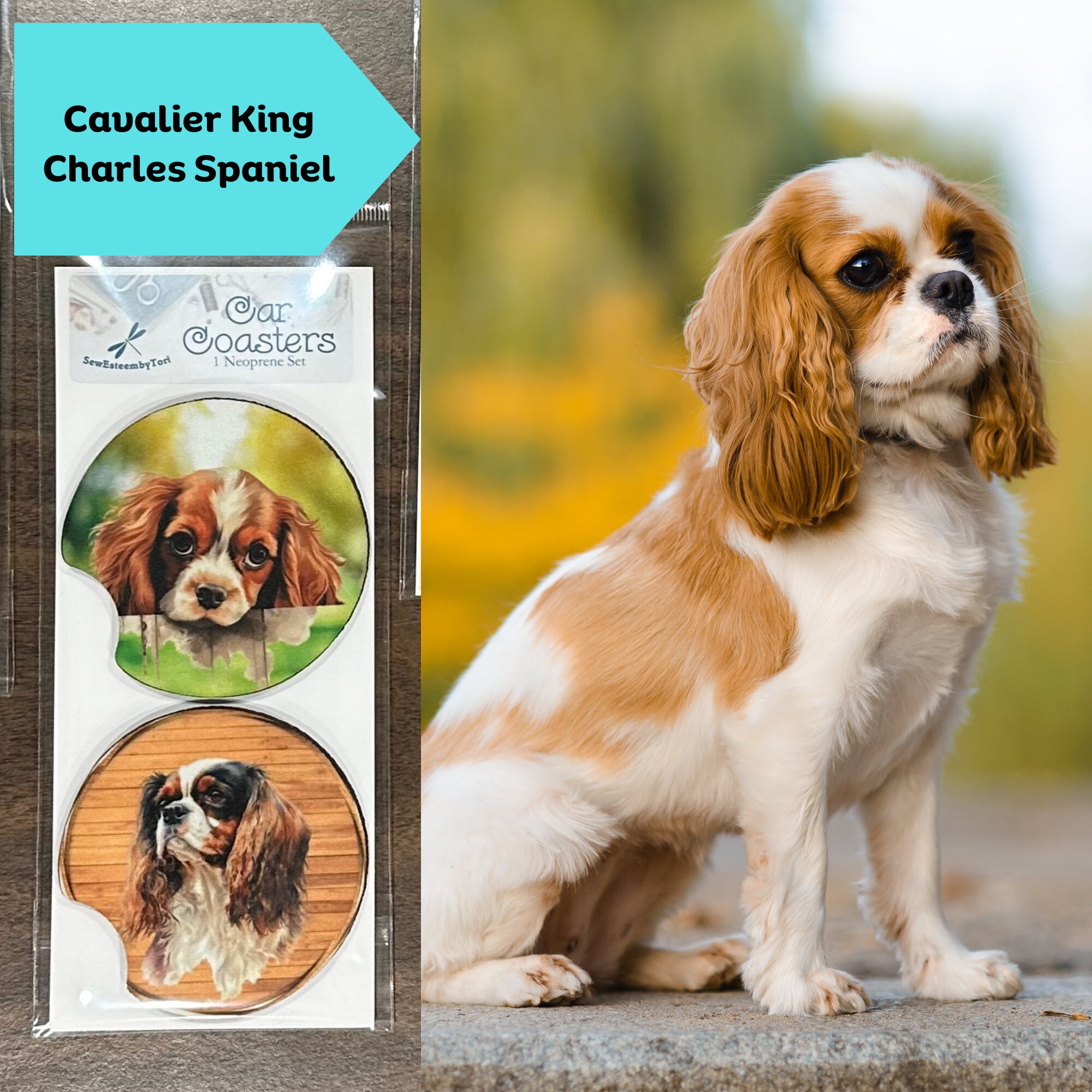 Dog Breed Car Coasters: Neoprene Pet Photo Gift (set of 2) - Etsy