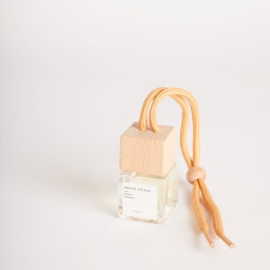 Hanging Car Diffuser (various Scent Options) High-quality Non-toxic Car ...