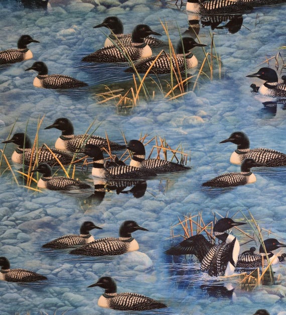 Loon Fabric By The Yard