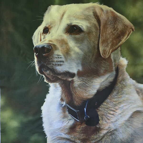 Labrador Barn Quilt - Etsy