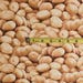 Potato Fabric by Elizabeth's Studio #595gold. Fabric by the Yardage and ...