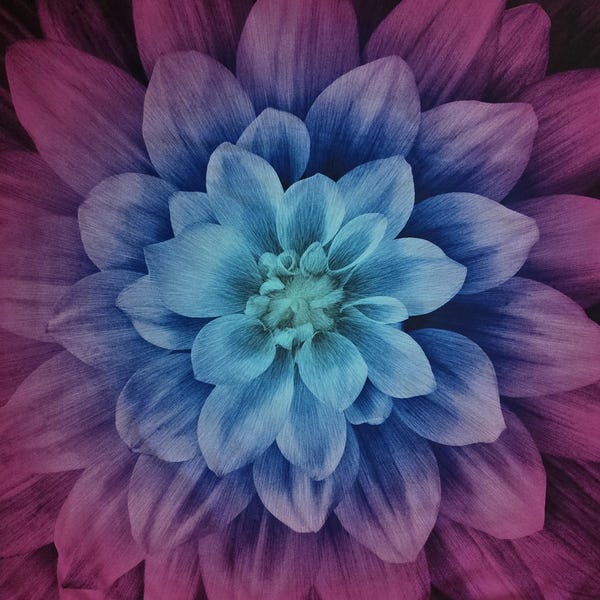 Large Fabric Flowers - Etsy