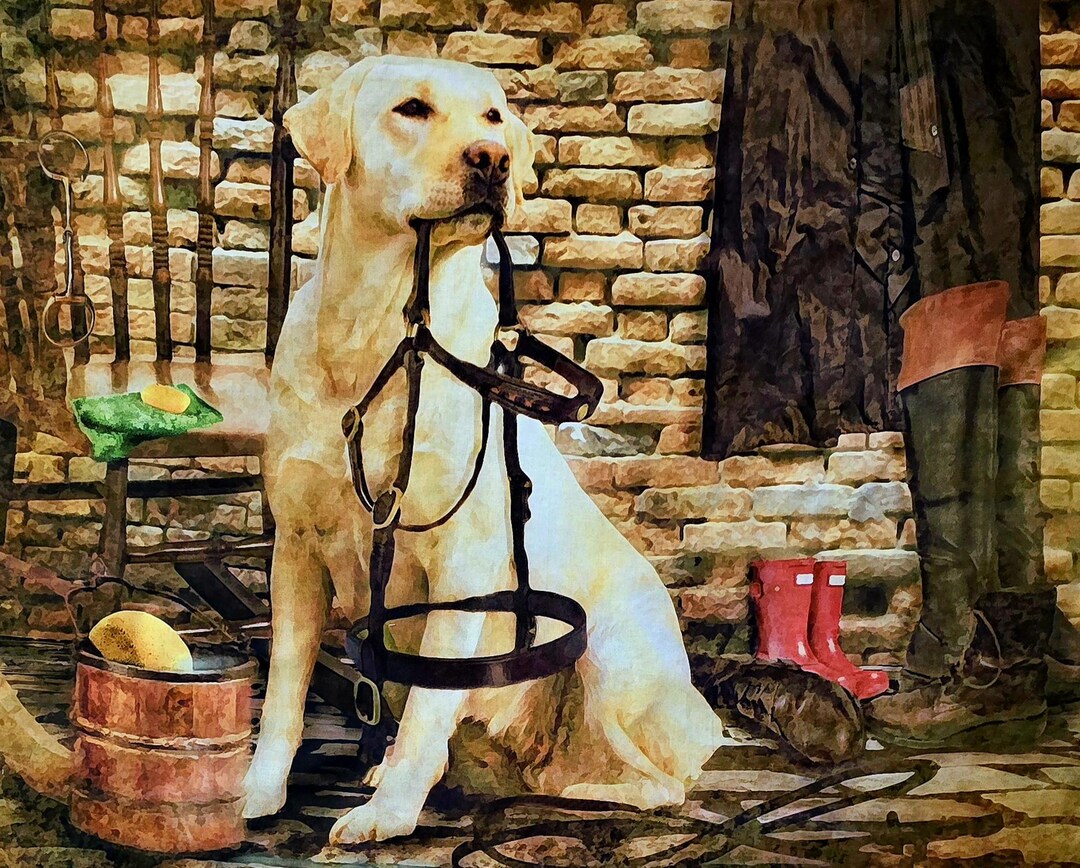 Labrador Fabric Panel, by David Textiles. Measures 36 X 44. Labrador ...