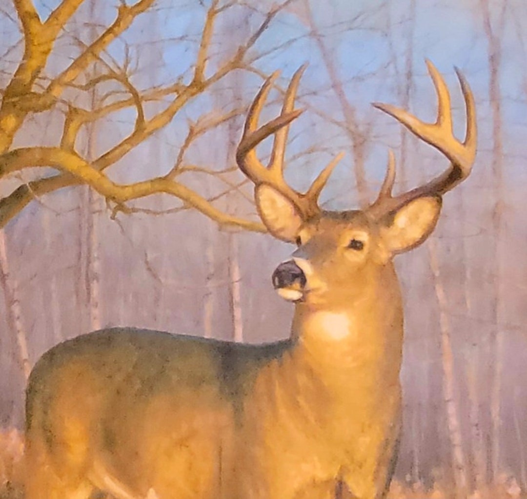 Deer Panel, in the Spotlight by David Textiles #AS-442C. Measures 35 X ...