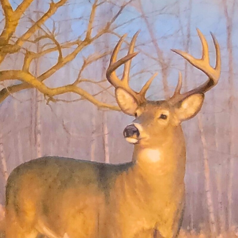 Deer Panel Fabric - Etsy