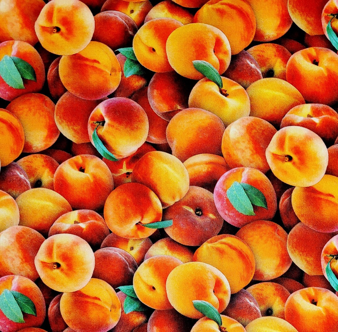 Peaches Fabric by Elizabeth's Studio #578. Fabric by the Yard and Half ...
