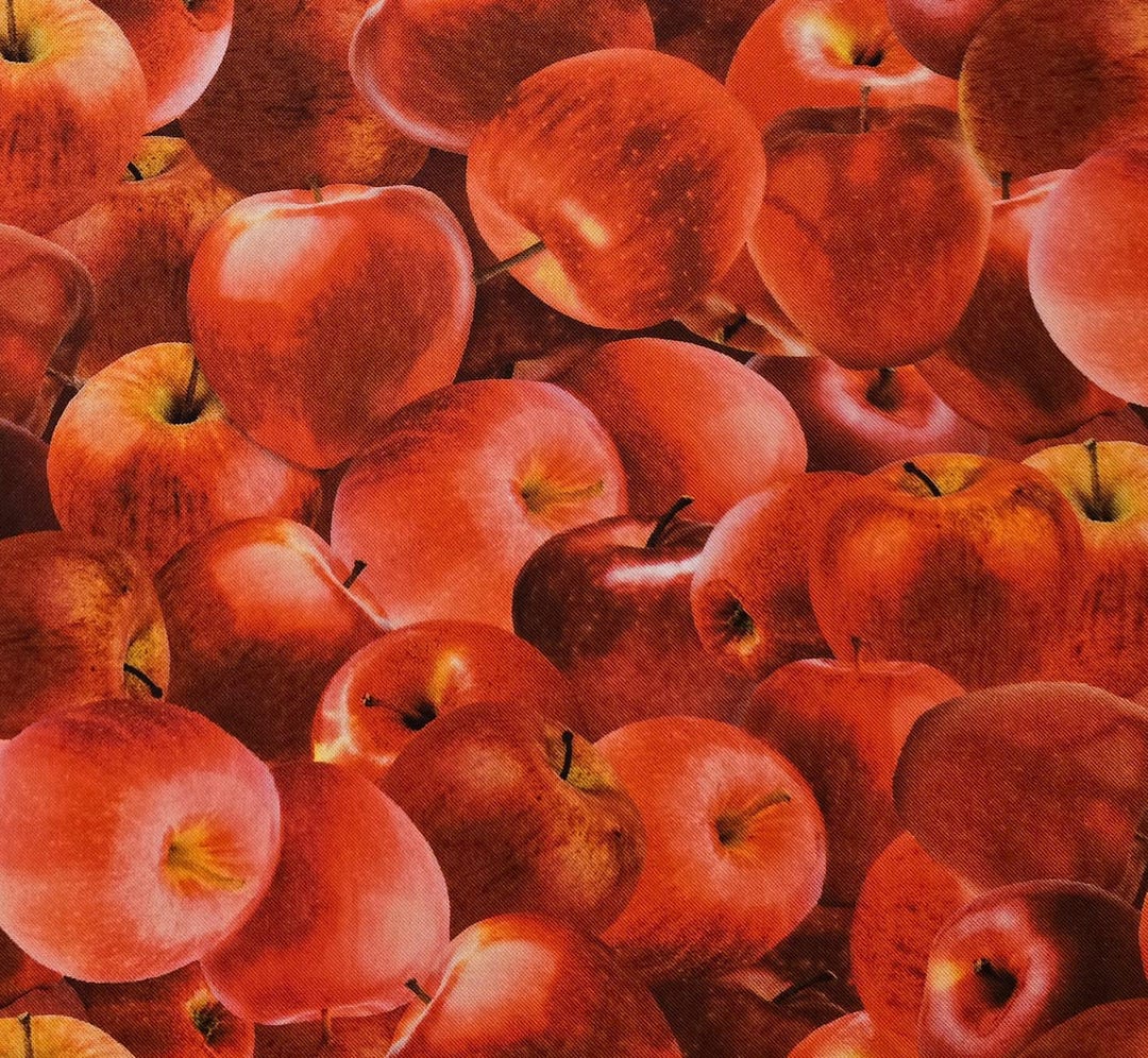 Red Apple Fabric by Timelesstreasures #FRUIT-CD2864. Fabric by the ...