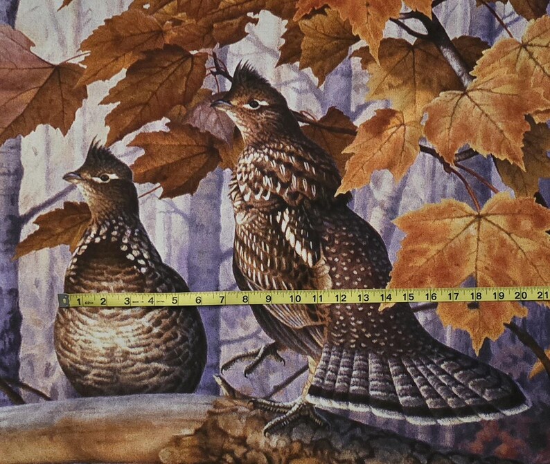 Quail Fabric Panel, Out on a Limb. 9208black. Elizabeth's Studio ...