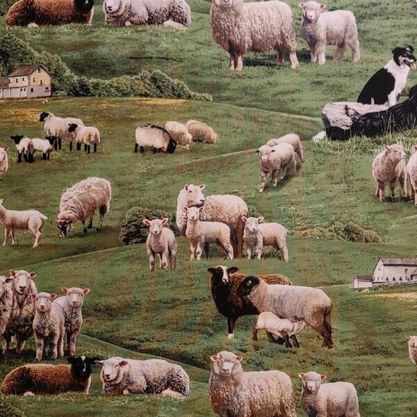 Sheep Fabric - Etsy