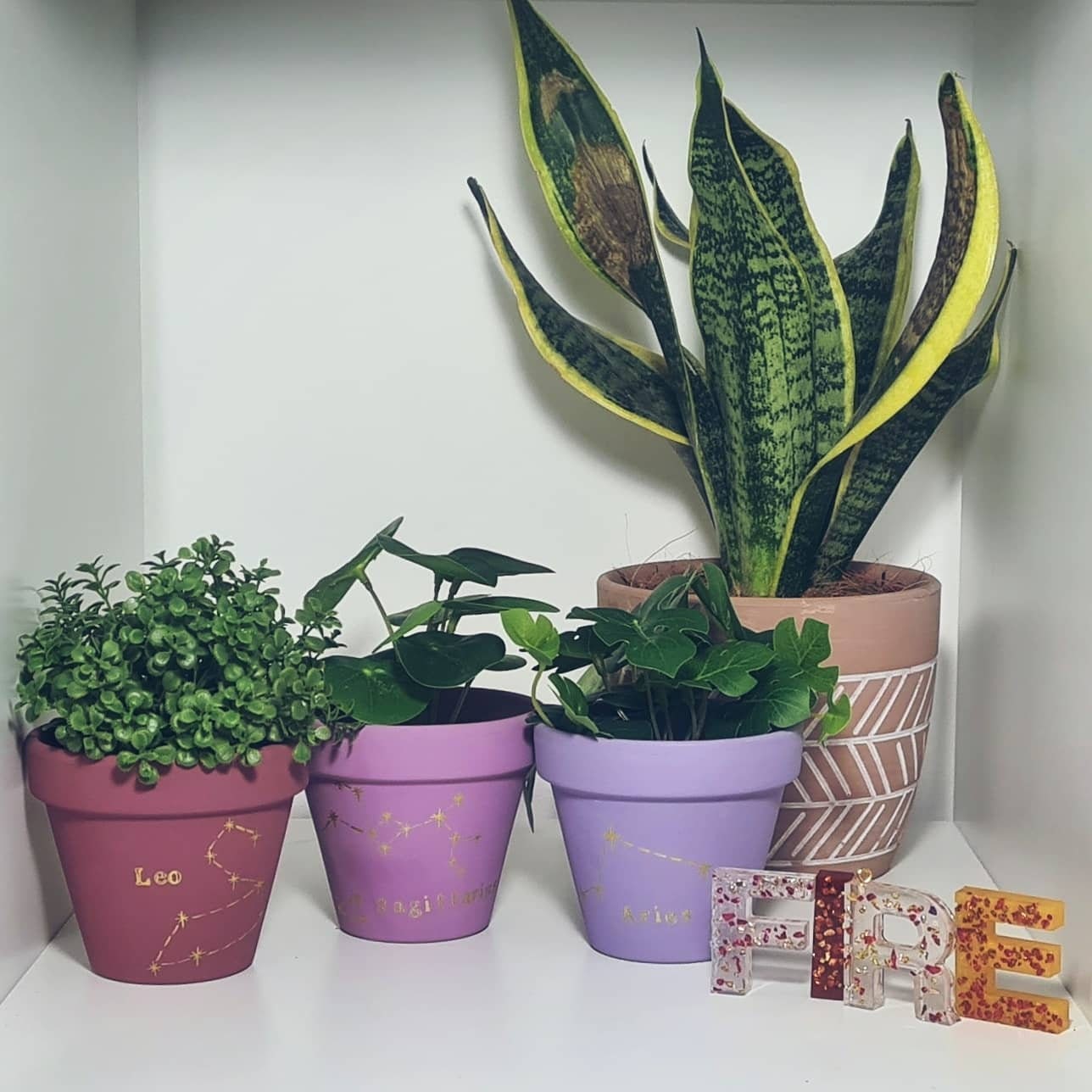 Gardening & Plants Fire sign hand painted terracotta plant pot Craft ...