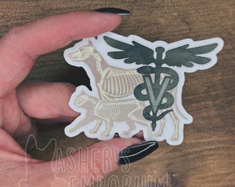 Vet Caduceus Sticker - Etsy