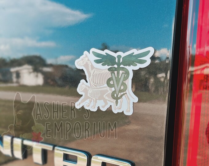 Dog Cat Xray Veterinary Medicine Caduceus Magnet Waterproof ...