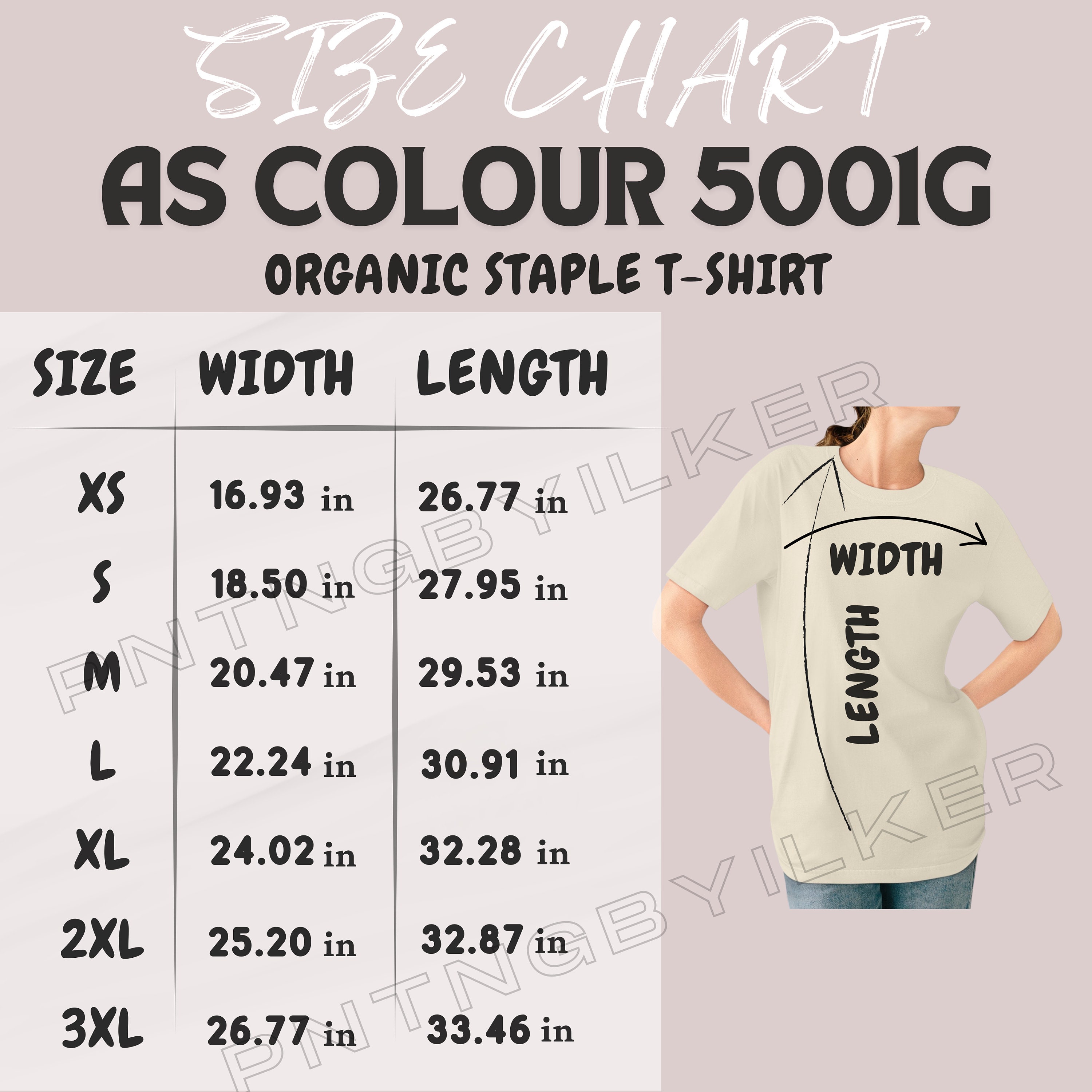 Organic Staple T-shirt Size Chart | Size Chart for Organic Staple T ...