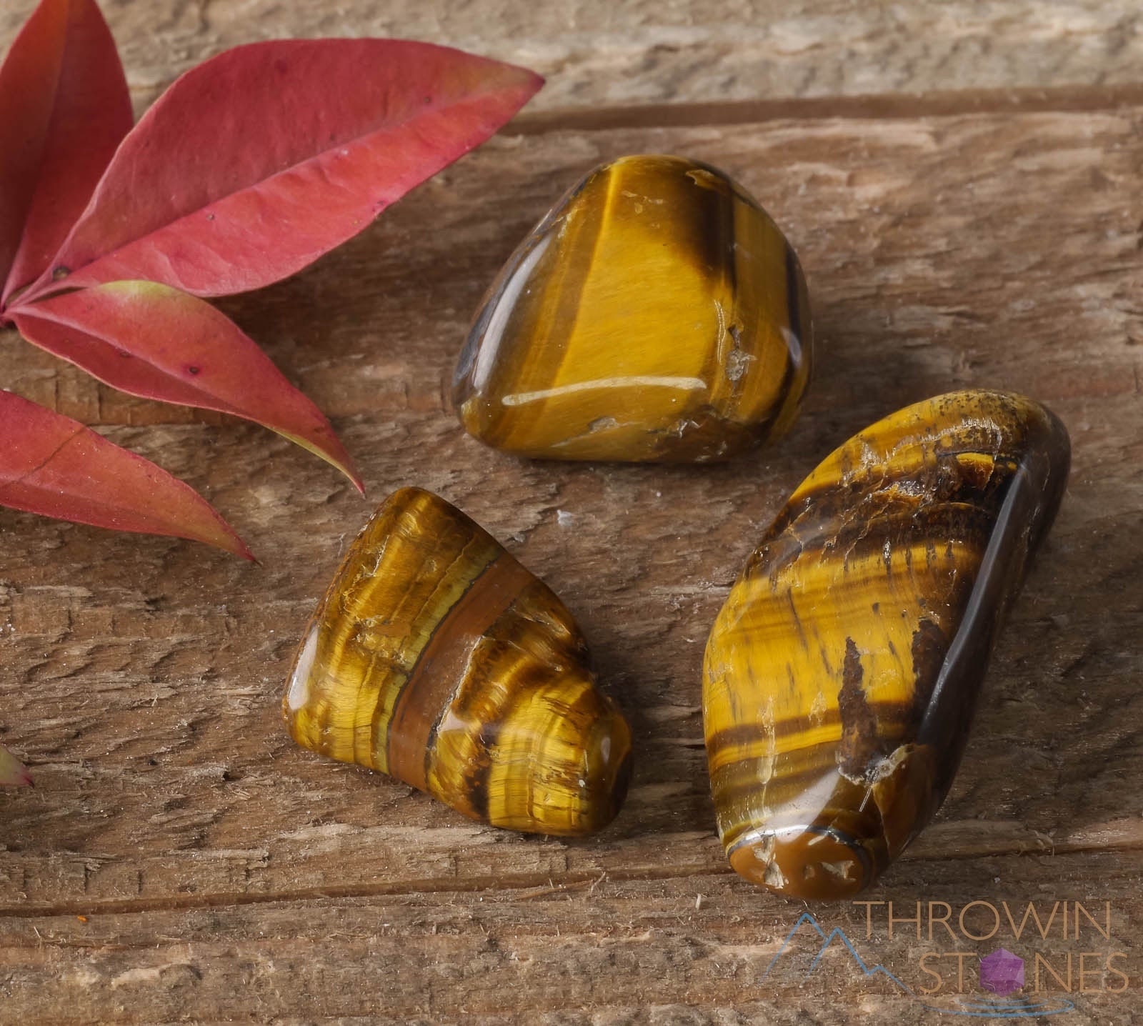 TIGERS EYE Tumbled Crystals Crystal Grid Mediation Stones - Etsy