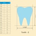 Tooth Shape - Multiple Sizes- Laser Cut Unfinished Wood Cutout Shapes ...