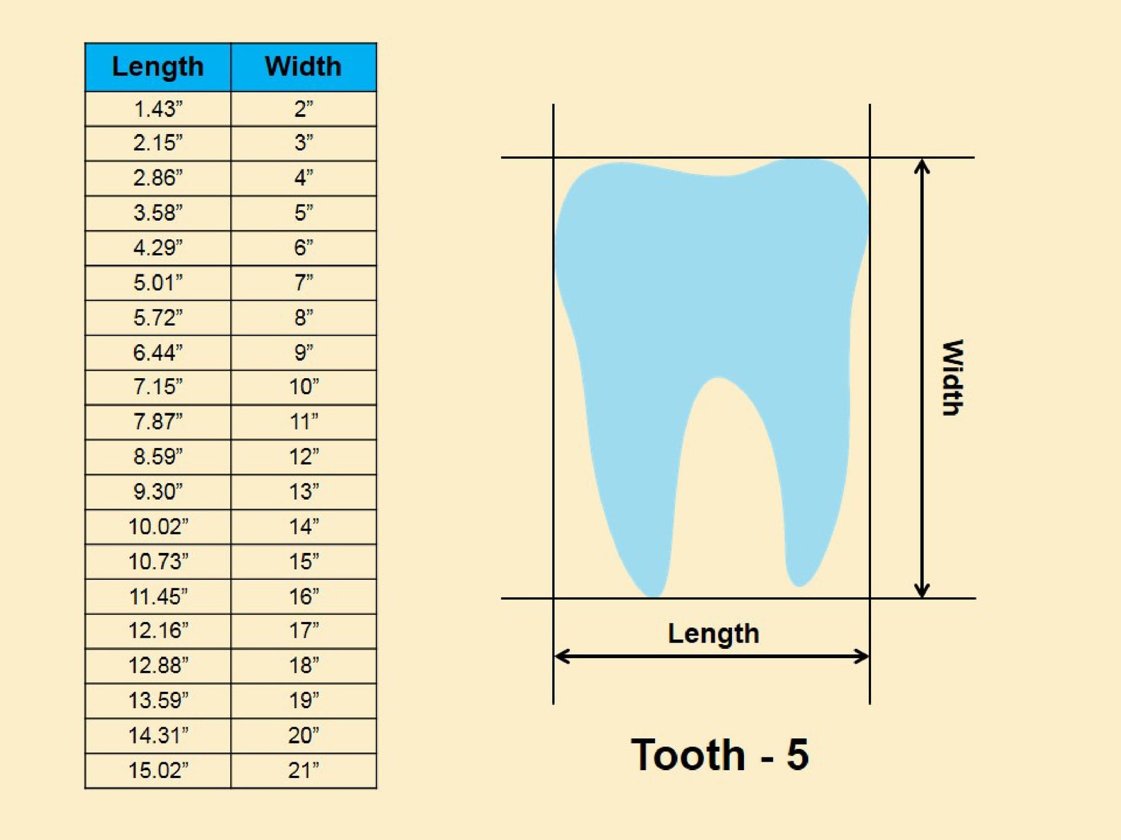 Tooth Shape Multiple Sizes Laser Cut Unfinished Wood Cutout - Etsy