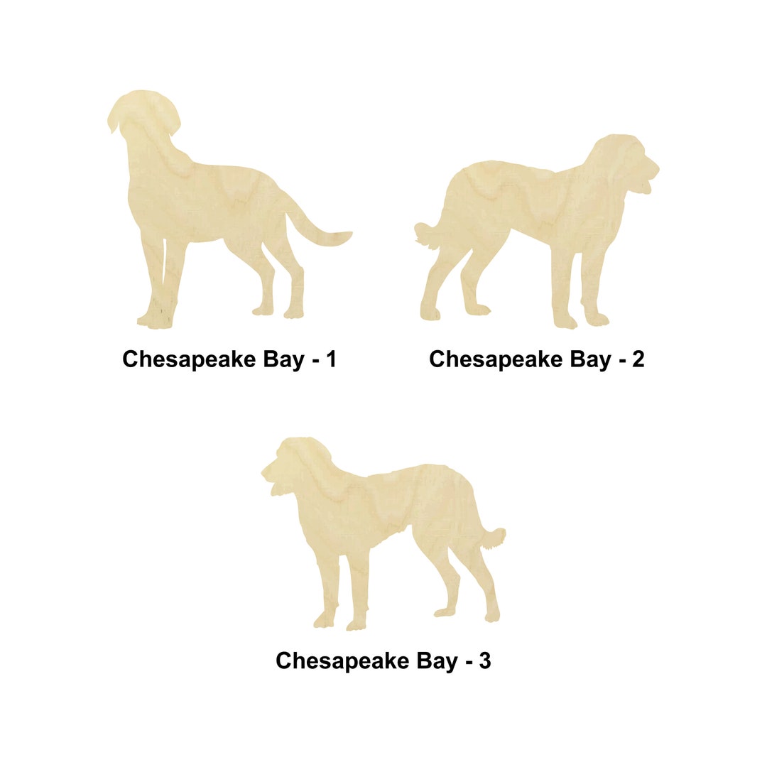 Chesapeake Bay Dog Animal Wooden Shape - Multiple Sizes- Laser Cut ...