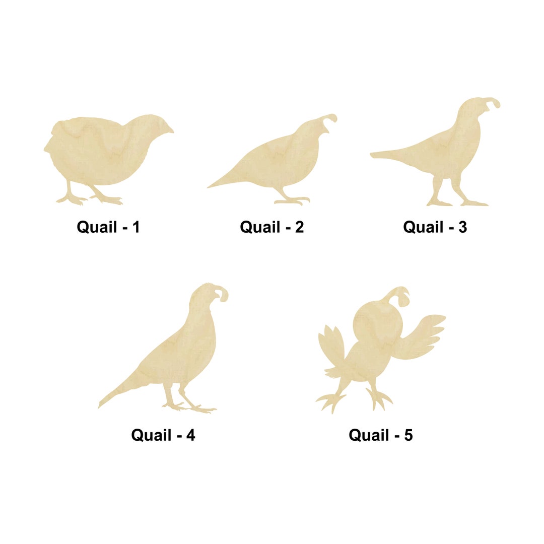 Quail Bird Shape - Multiple Sizes- Laser Cut Unfinished Wood Cutout ...