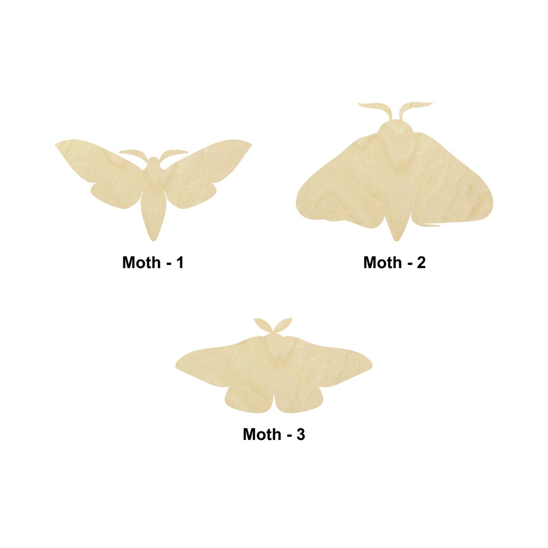 Moth Animal Wood Shape- Multiple Sizes - Laser Cut Unfinished Wood ...