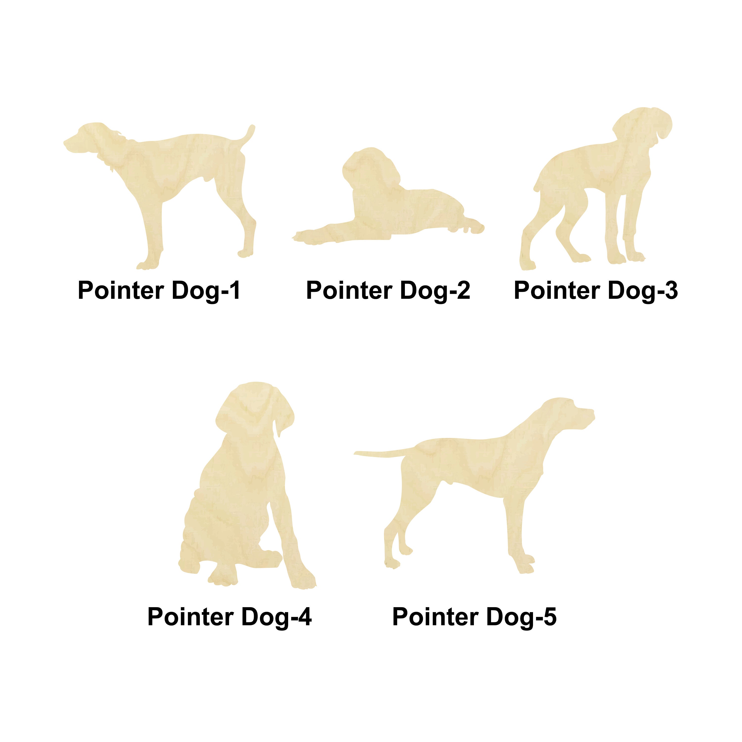 Can A Pointer Guard A Home