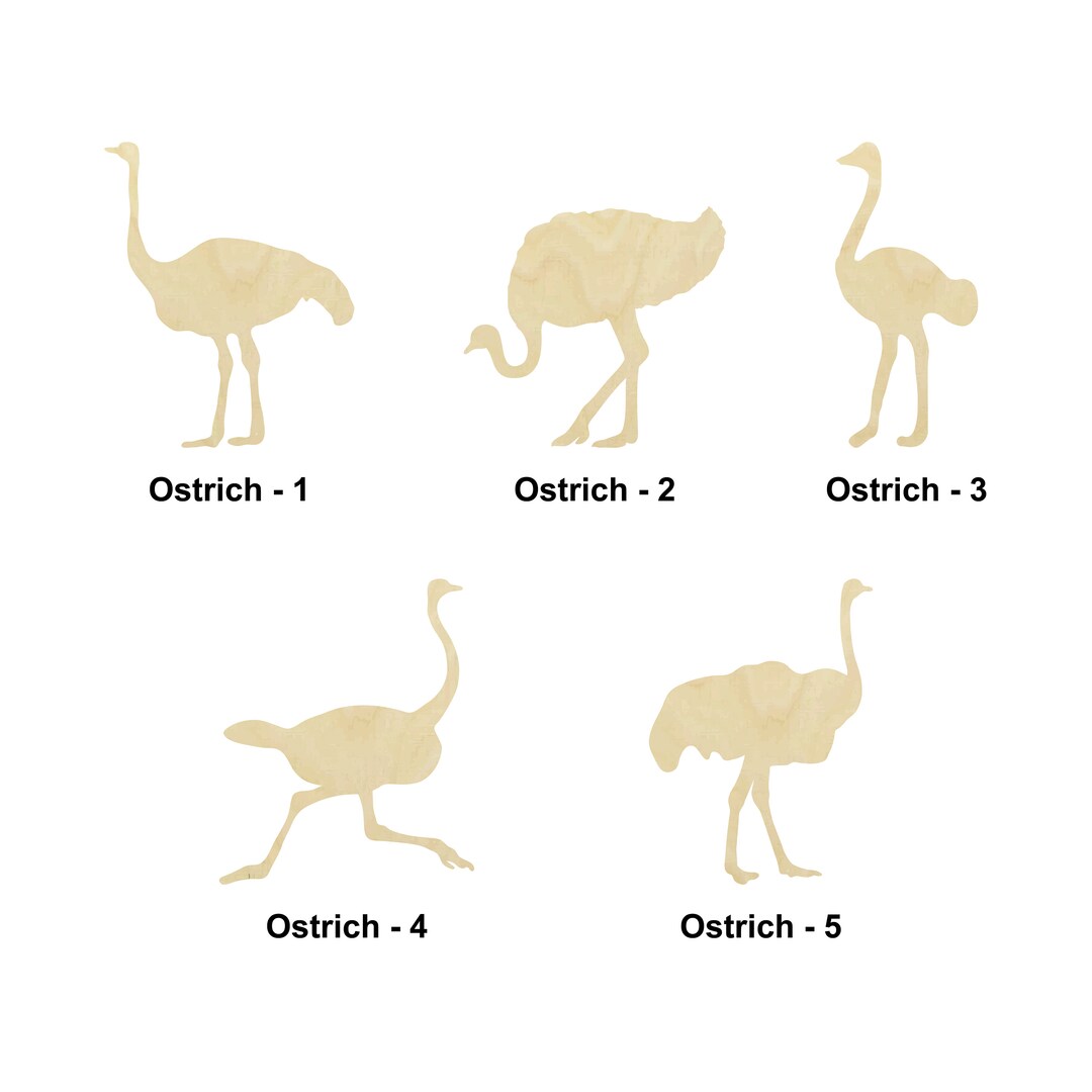 Ostrich Bird - Multiple Sizes - Laser Cut Unfinished Wood Cutout Shapes ...
