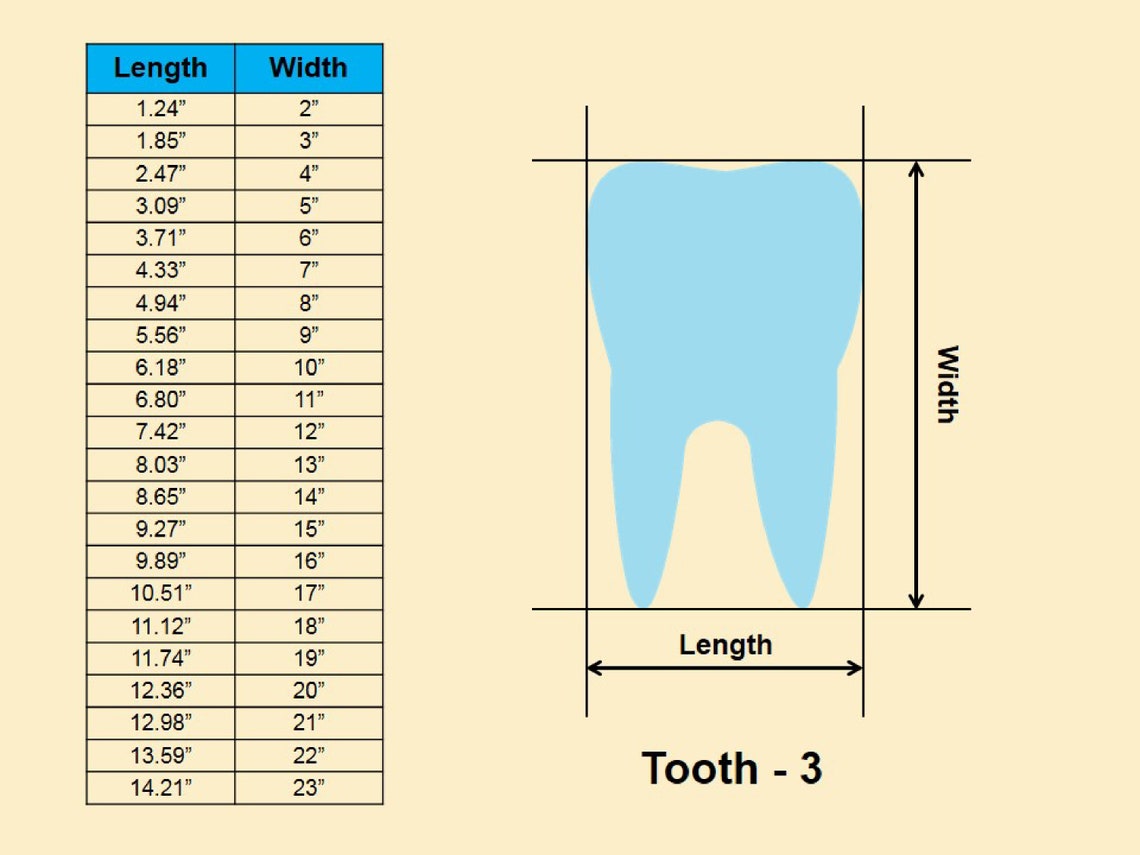 Tooth Shape - Multiple Sizes- Laser Cut Unfinished Wood Cutout Shapes ...