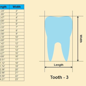 Tooth Shape - Multiple Sizes- Laser Cut Unfinished Wood Cutout Shapes ...