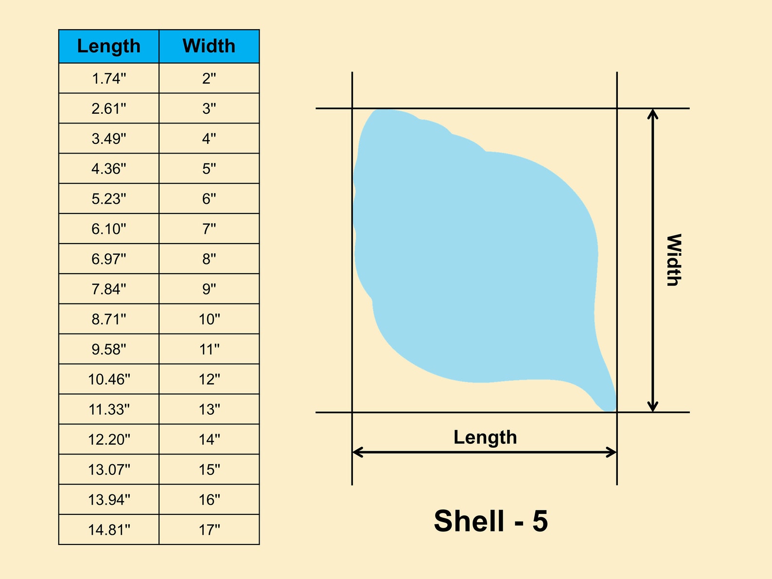 Shell or Sea Shell Wooden Shape - Multiple Sizes- Laser Cut Unfinished ...