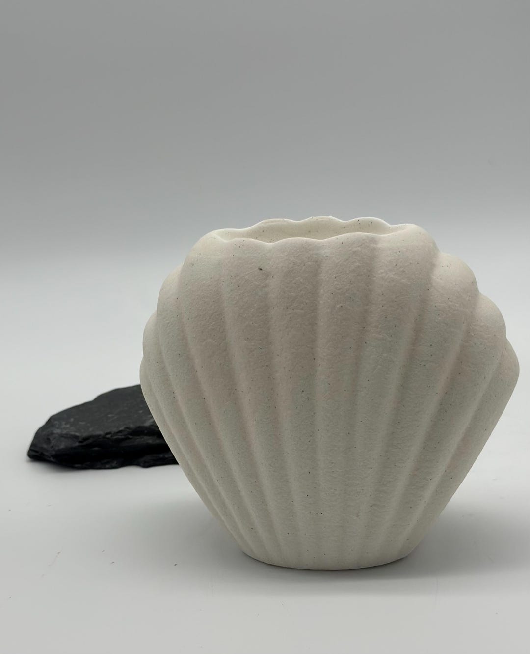 Seaside Seashell Oil Warmer and Wax Burner - Etsy