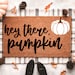 Hey There Pumpkin | Fall Front Porch Decor | Fall Doormat | Fall ...