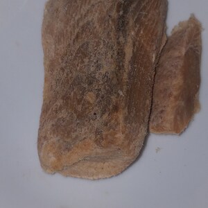 Mora Fish 100% Sun Dried Fresh Fish Good Quality Dried Fish Chemical ...