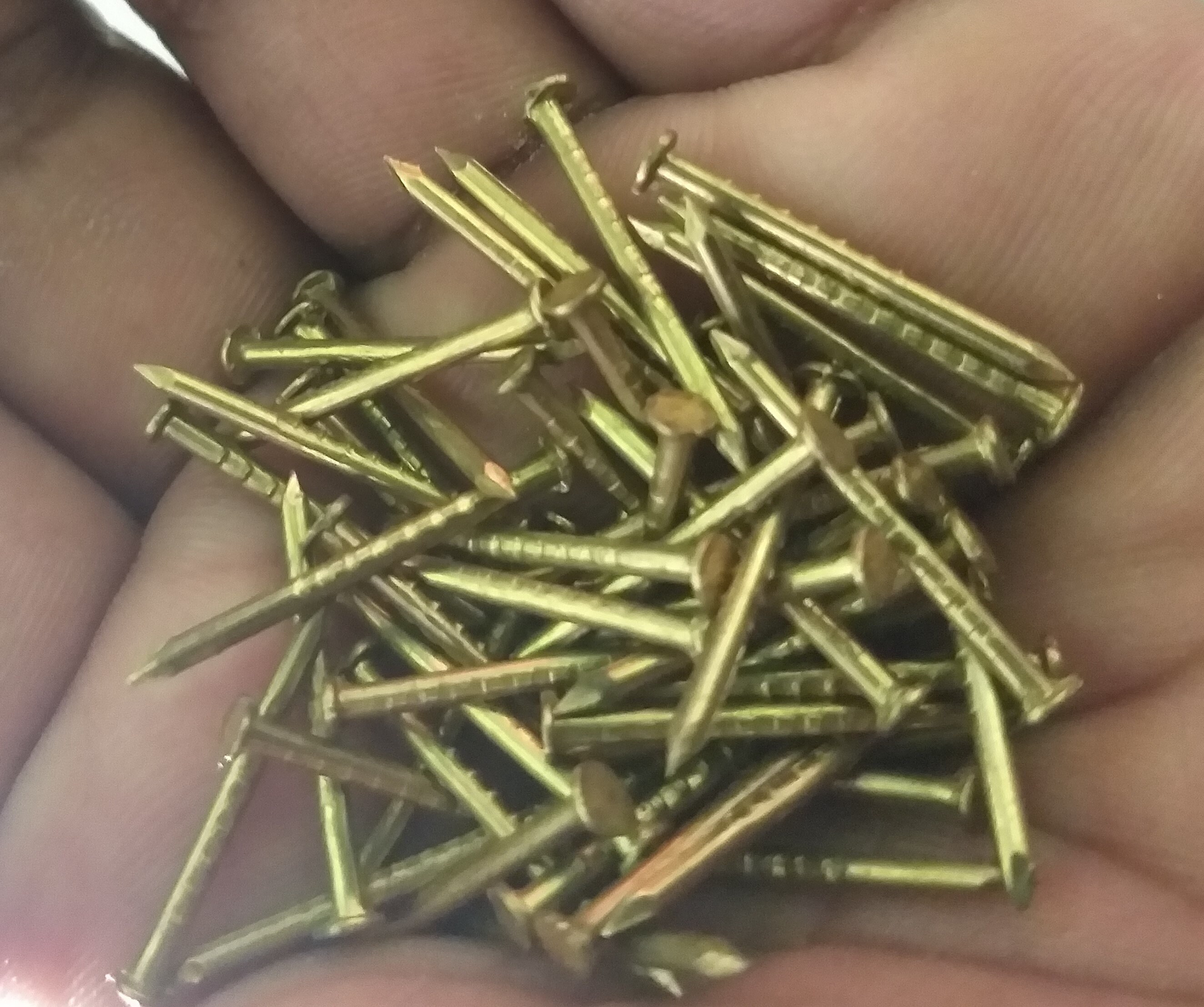 Solid Brass Panel Pins Escutcheon Pins Tiny Brass Tacks Nails - Etsy