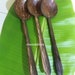 1 Piece High Quality Coconut Shell Curry Spoon Hand Made - Etsy